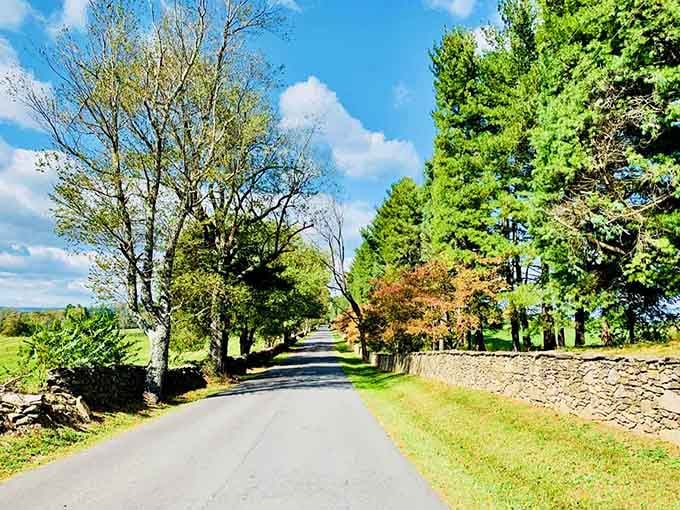 Stone fences and autumn trees line this country lane like something from a Currier and Ives print.