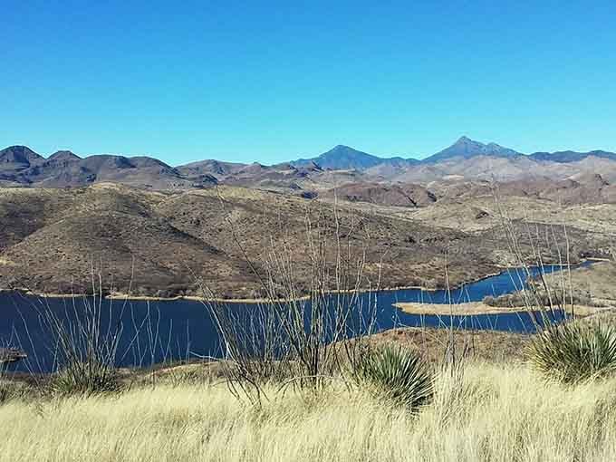 Blue water cuts through golden grasslands with distant peaks standing guard like silent sentinels over this hidden oasis.