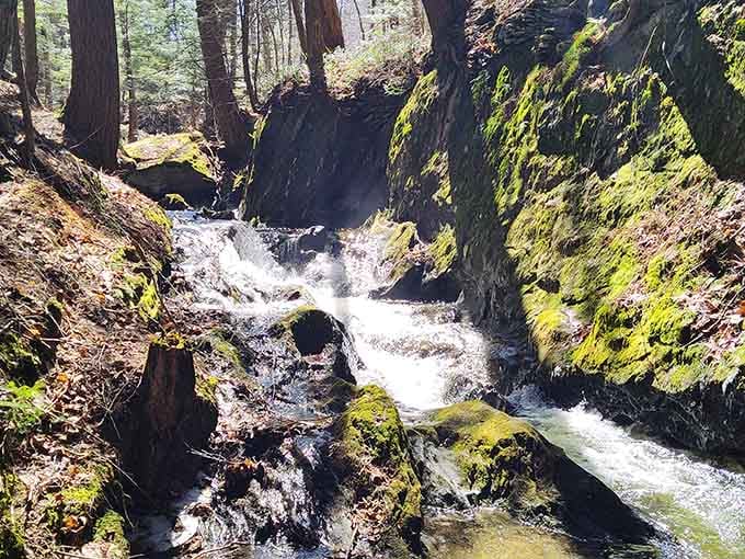 Moss-covered rocks and rushing water create a hidden sanctuary that feels like stepping into another world entirely.