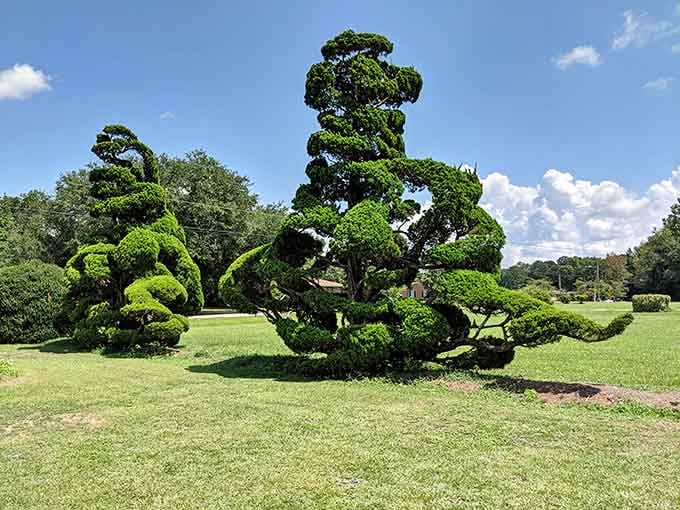Sculpted shrubs dance across the lawn in impossible shapes, proving that dedication and imagination can transform ordinary plants.