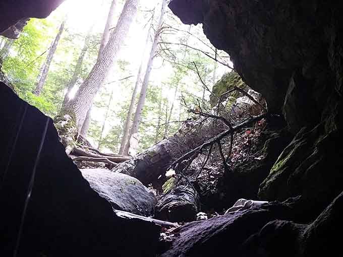 Sunlight streams through this underground cathedral entrance, beckoning brave explorers into earth's hidden chambers below.