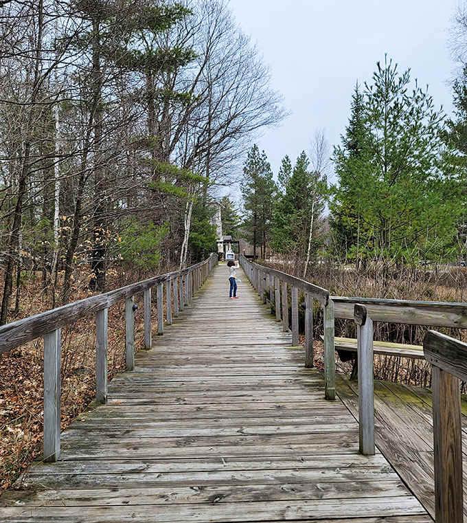 This weathered wooden boardwalk stretches through quiet marshland, leading adventurers toward discoveries hidden among the trees ahead.