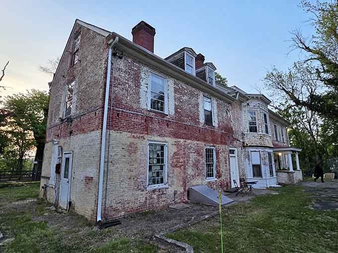 Time and weather have stripped away the mansion's former glory, leaving behind something that looks straight from Gothic literature.