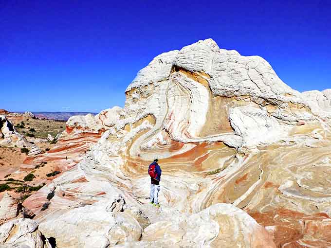 Standing among these swirling white formations feels like walking through a Salvador Dali painting that somehow became three-dimensional rock.