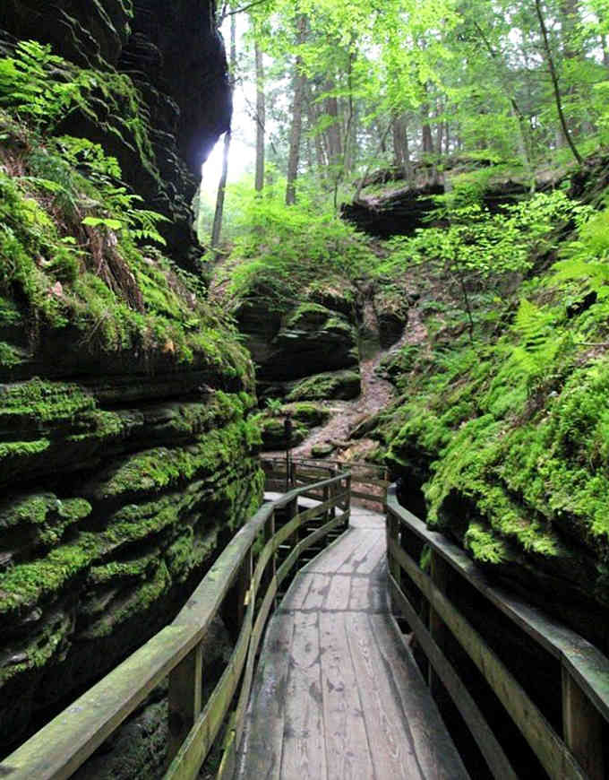 Moss-covered walls tower overhead in this narrow canyon where sunlight barely reaches the wooden walkway below.