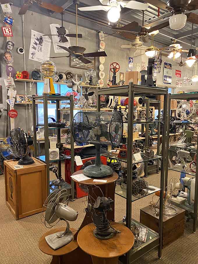 Rows of antique fans fill every shelf, their brass blades and intricate cages celebrating American manufacturing craftsmanship beautifully.