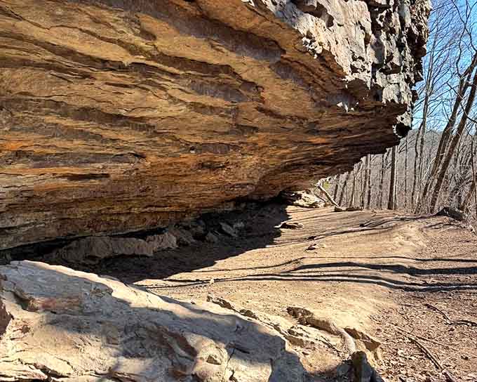 Tucked away in Alum Hollow Trail, this massive rock overhang feels like stepping into another world—just wait until you see the waterfall at the end.