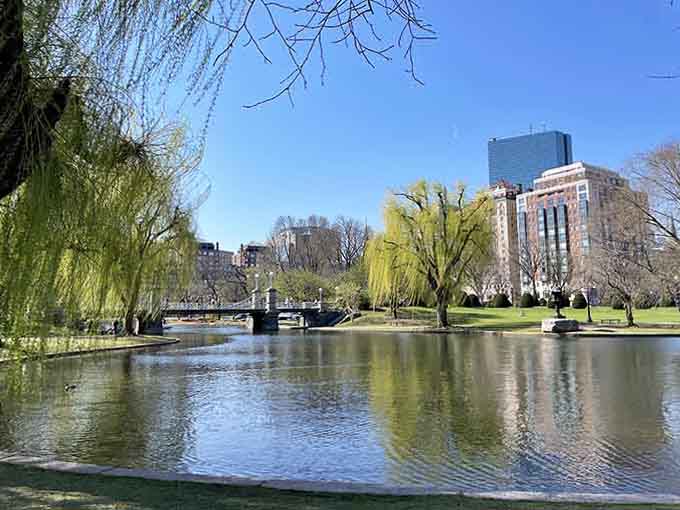 The peaceful lagoon reflects city buildings, but beneath this green space lies a graveyard most visitors never consider.