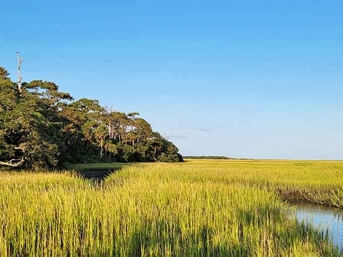 Golden marsh grasses sway beside winding water channels, painting the landscape in warm honey and amber tones.