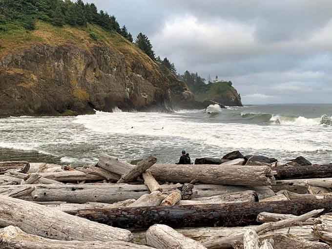 Driftwood logs scatter across the beach like nature's pickup sticks while powerful waves pound the misty coastline.