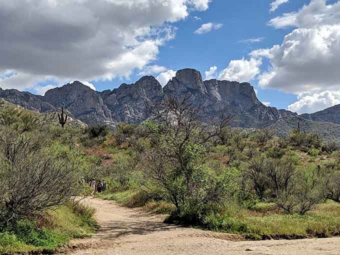 Storm clouds gather above rugged peaks while the desert trail winds through mesquite trees toward adventure and discovery.