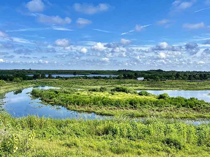 Nature's mirror reflects the sky perfectly in these peaceful waters teeming with life below the surface.