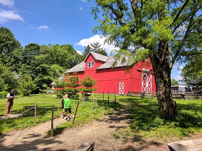 This crimson barn stands proud like something Norman Rockwell would've painted on a perfect summer afternoon in America's heartland.