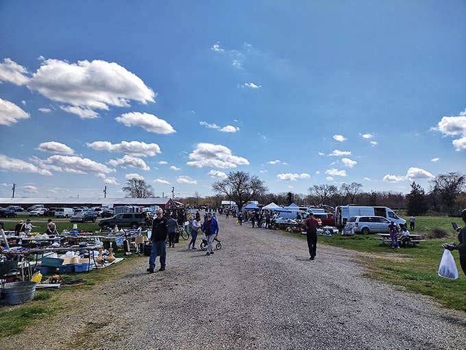 Wide open spaces and blue skies create the perfect backdrop for serious shoppers strolling between endless vendor booths.