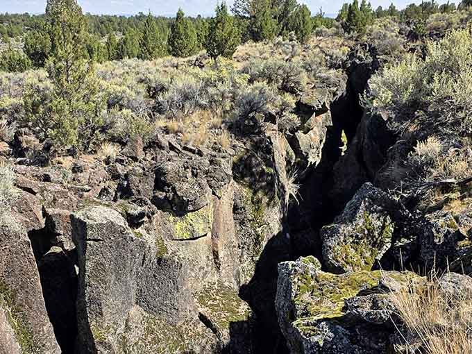 This two-mile fissure in the ground offers cool shade and geological wonders at every turn.