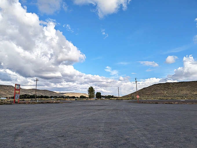 The vast emptiness of eastern Oregon stretches endlessly, proving that sometimes nothing is really something special.