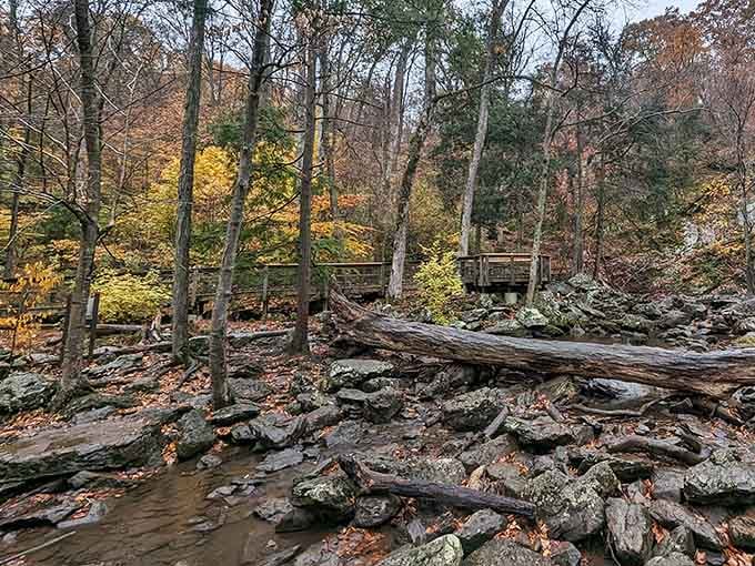 Fallen logs and moss-covered stones frame a peaceful creek that whispers through the autumn woods.