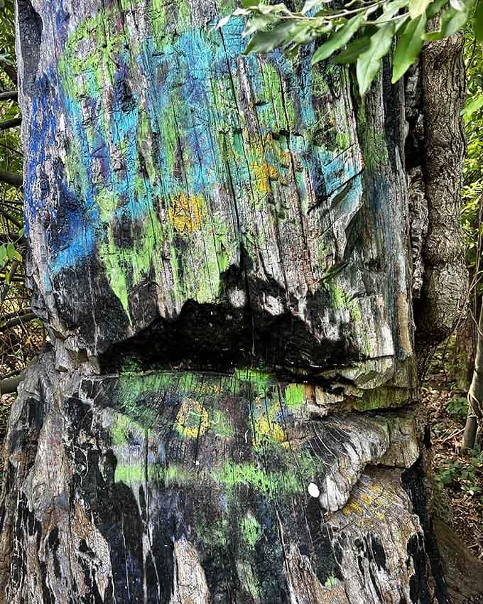 Vibrant paint splashes across weathered bark, where local legend meets natural resilience in this enigmatic woodland sentinel.