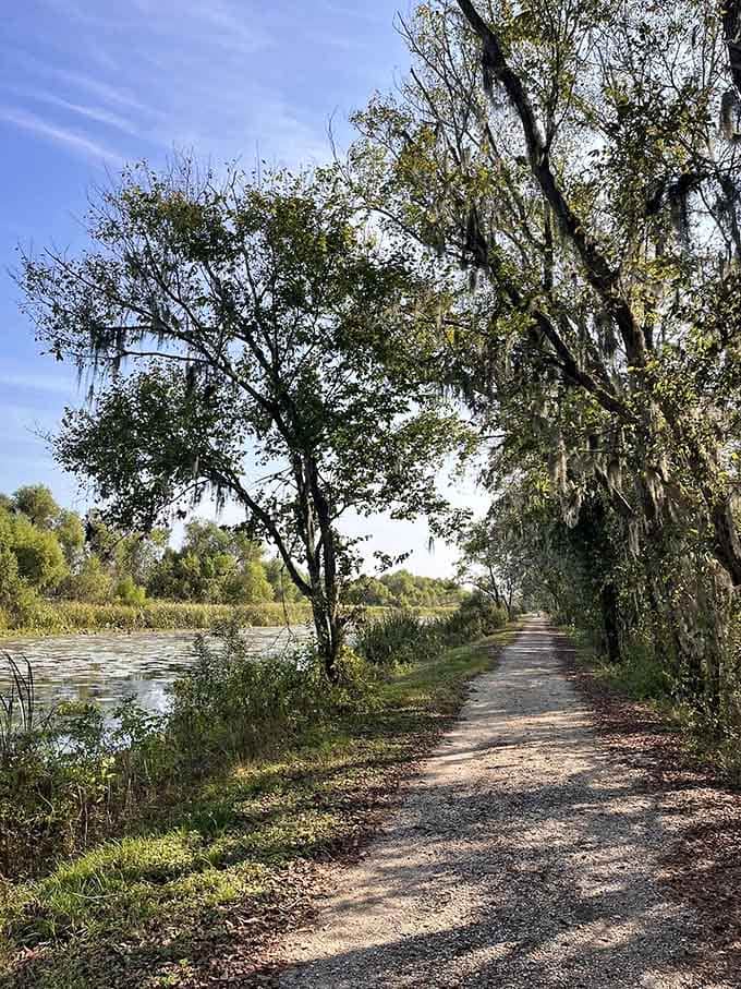 That peaceful lakeside path curves invitingly ahead, promising tranquil views and maybe a friendly duck or two along the way.