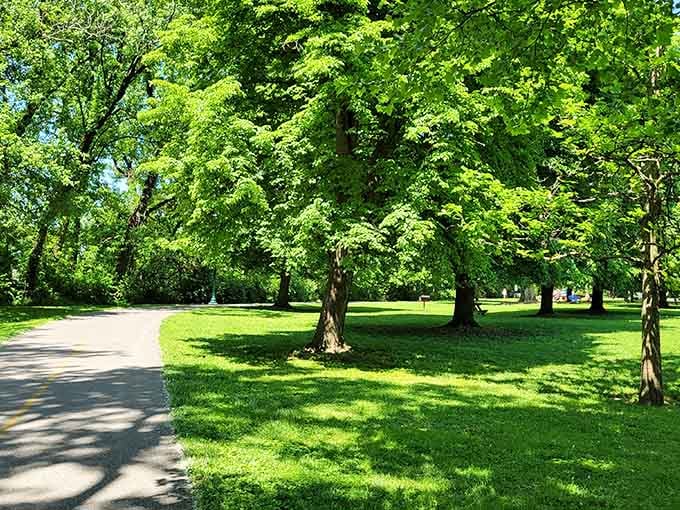 Sunlight dapples the green canopy while peaceful walking paths invite you to slow down and breathe deeply.