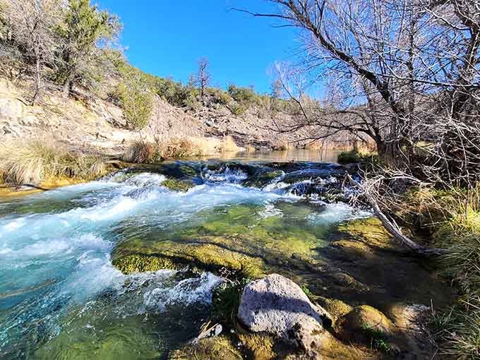 The cascading water glistens in the light, explaining why this hidden creek attracts devoted visitors time and again.