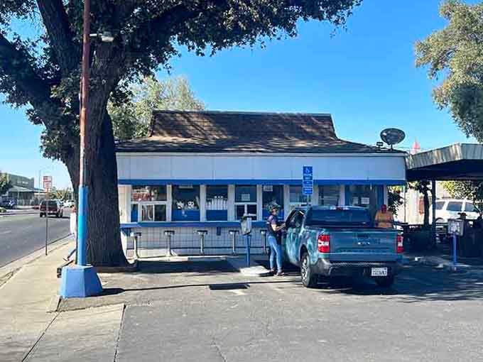 That massive oak tree provides shade for hungry diners who know good burgers don't need fancy dining rooms.