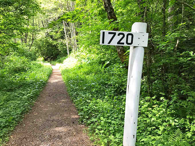 Mile marker 1720 beckons hikers deeper into the verdant wilderness where adventure awaits around every bend.