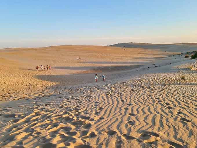 Golden dunes ripple toward the horizon like frozen waves in an endless desert dreamscape.