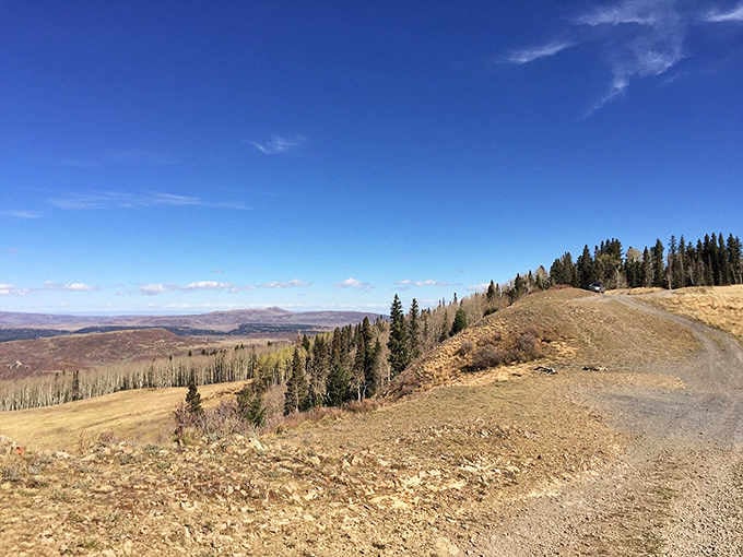 The unpaved route climbs above 10,000 feet where autumn colors paint the hillsides in brilliant gold and green.