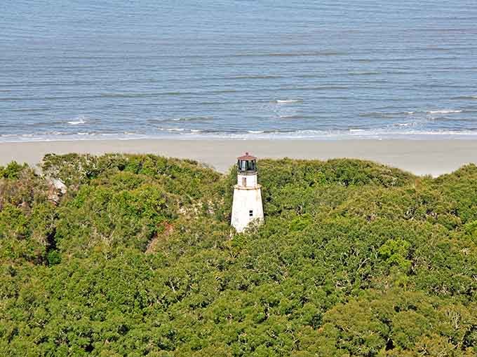 Peeking through the maritime forest canopy, this remote beacon stands as nature's own hidden treasure waiting to be discovered.