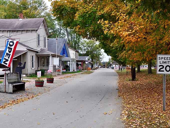 Autumn leaves carpet the residential street where porches invite neighbors to sit and visit awhile.