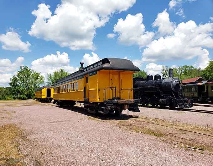The golden passenger cars trail behind the steam engine like a string of sunshine across the rural landscape.