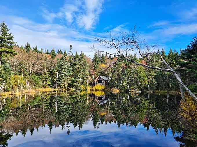 Perfect mirror reflections double the beauty of autumn trees standing sentinel around this peaceful mountain pond's glassy surface.