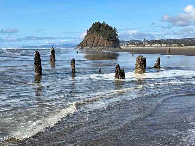 The ghost forest emerges at low tide with Proposal Rock standing guard, a reminder that coastlines constantly rewrite their stories.