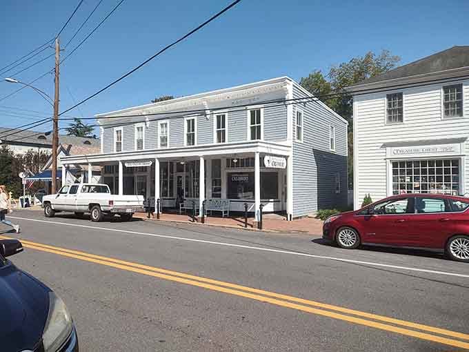 This is what downtown America looked like before chain stores took over the world, beautifully preserved.
