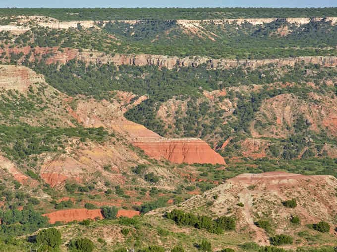 The canyon floor reveals vibrant bands of color and lush vegetation thriving in this unexpected Panhandle oasis below.