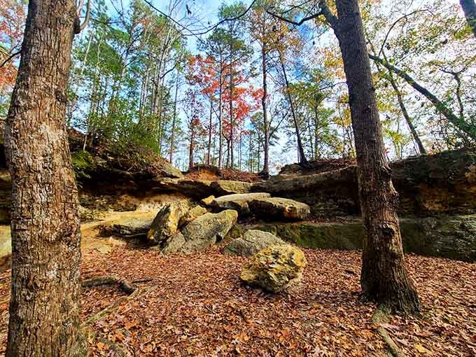 Autumn leaves carpet the ground beneath these peculiar rock formations, nature's own Stonehenge hidden in South Carolina woods.