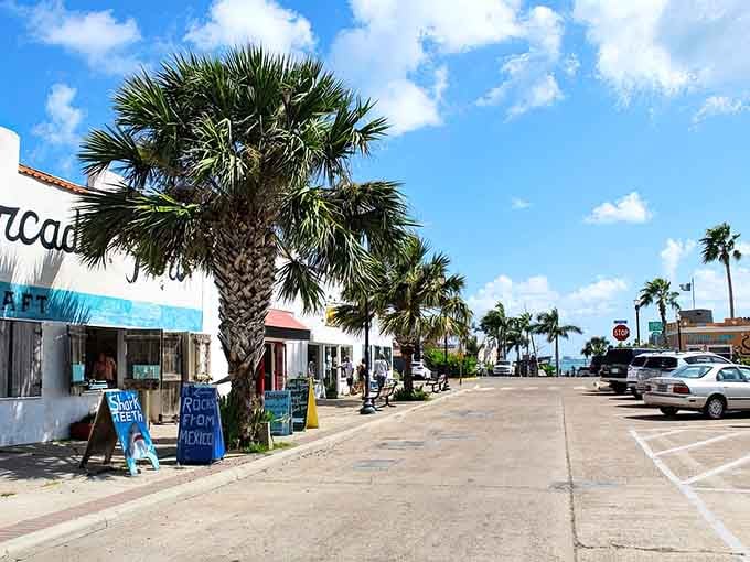 Palm trees swaying along the waterfront remind you that coastal living comes with its own special brand of magic.