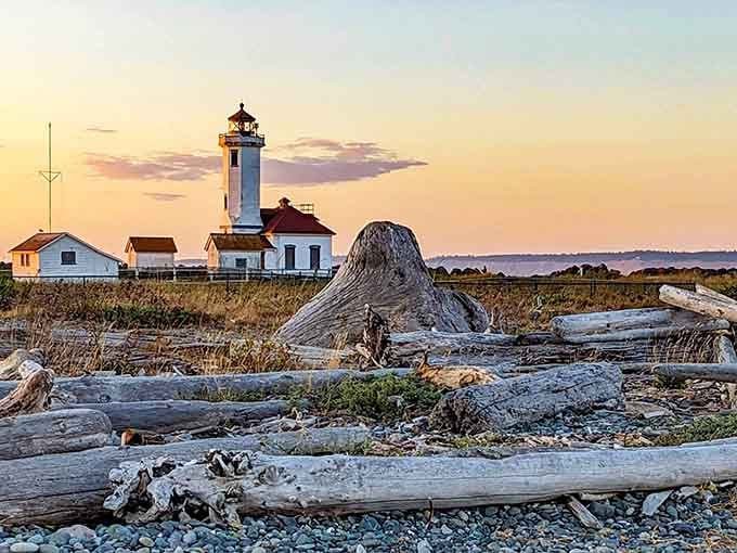 Sunset paints this lighthouse scene in pastels, with driftwood scattered like nature's own art installation.
