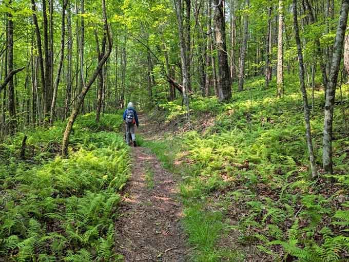 Every fern-lined step on this verdant trail feels like walking through Jurassic Park minus the dinosaurs.