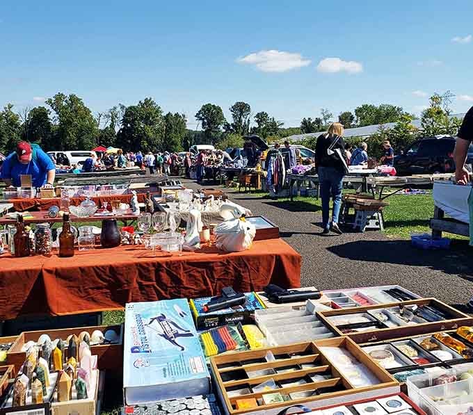 Vintage glassware catches the sunlight while curious shoppers hunt for hidden gems among carefully arranged collectibles.
