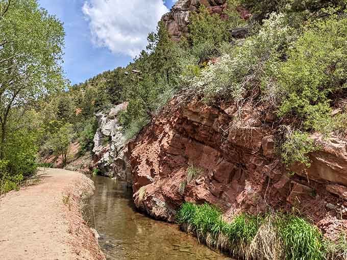 Red canyon walls reveal layers of geological history as the creek flows peacefully through this hidden oasis.
