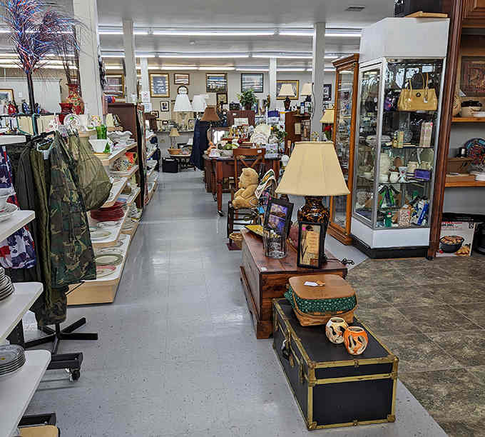 Furniture and lamps create a cozy maze where yesterday's castoffs become tomorrow's beloved treasures.