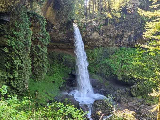 Water plunges into a misty pool below, surrounded by forest so green it practically glows in the filtered sunlight.