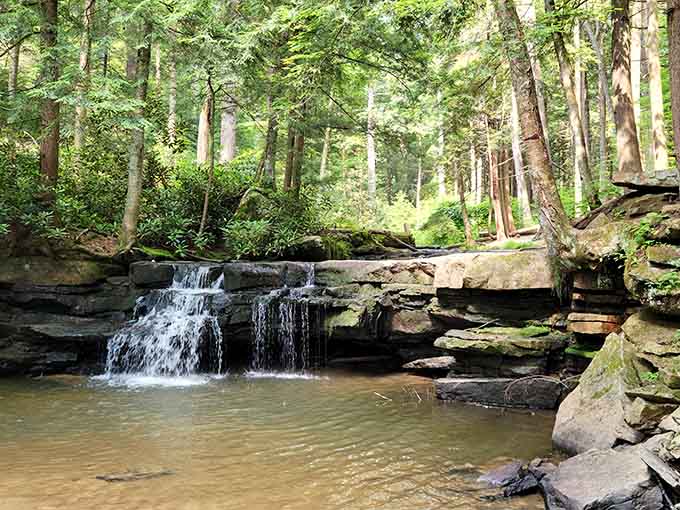 Sunlight filters through hemlock trees onto gentle falls, proving Maryland keeps its best secrets tucked in the mountains.