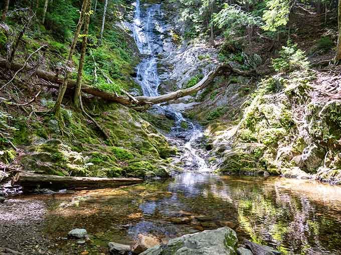 Emerald moss clings to every surface as the waterfall tumbles down, nature showing off its decorating skills beautifully.