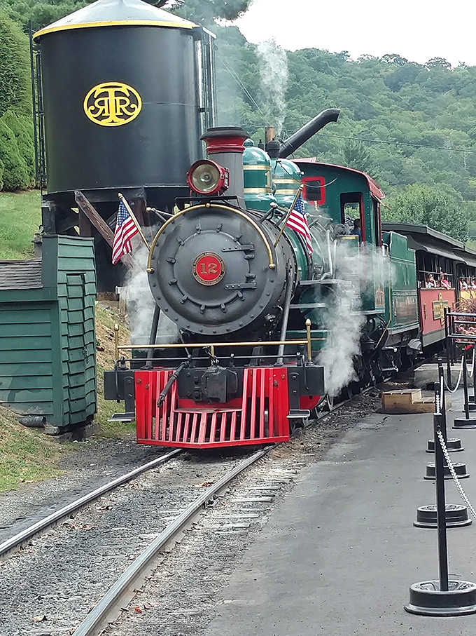 The water tower and that gorgeous steam engine create a scene that would make any railroad enthusiast's heart skip a beat.