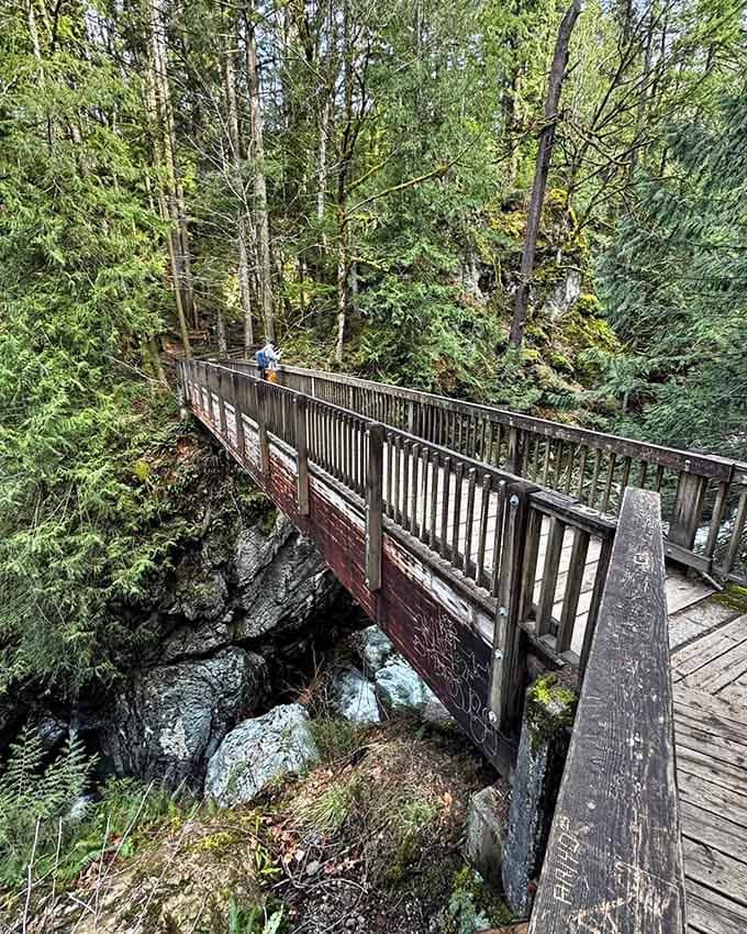 This elevated bridge spans rocky creek waters below, offering front-row seats to nature's own symphony of rushing water.