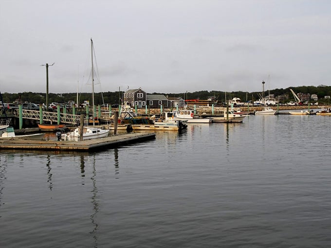 Working boats fill a harbor where the catch of the day is still actually caught that very same day.