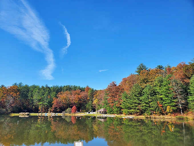 Perfect reflections double the autumn beauty, turning this quiet lake into nature's most honest mirror on earth.